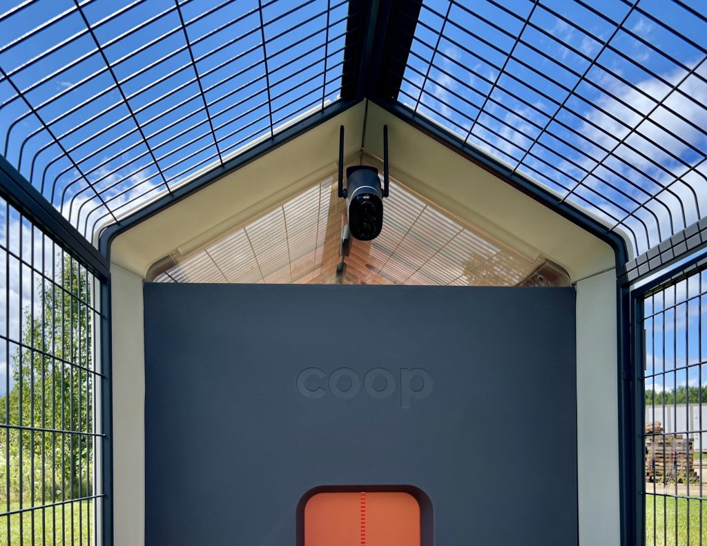 Smart home for chickens set to challenge “big poultry” in US - TechInformed
